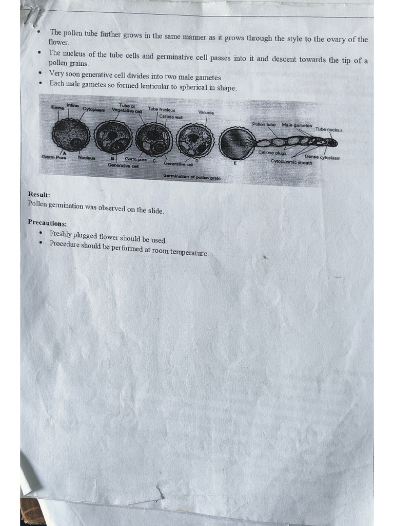 Biology Experiments Class 12 | PDF