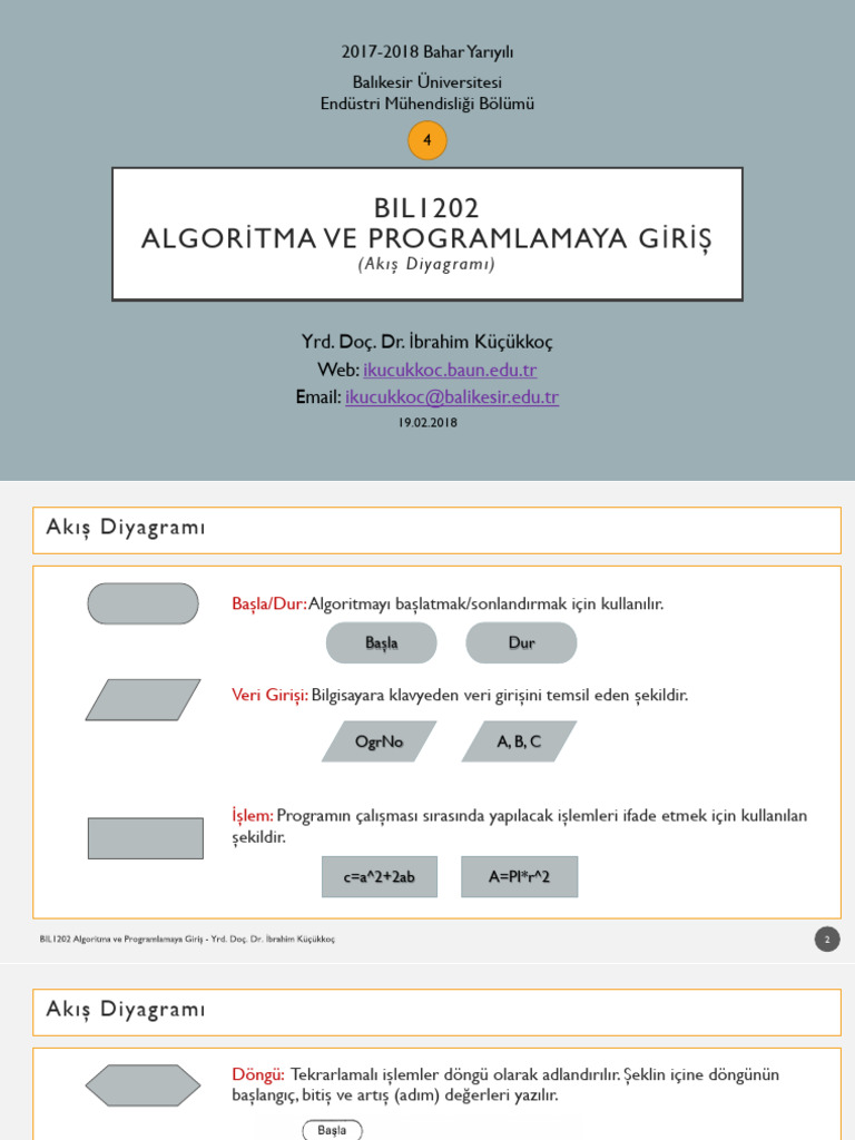BIL1202 ALGORİTMA VE PROGRAMLAMAYA GİRİŞ (Akış Diyagramı) | PDF