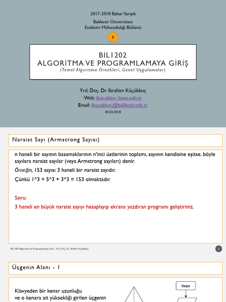 Bil1202 Algori̇tma Ve Programlamaya Gi̇ri̇ş | PDF