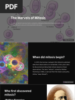 Mitosis in Human Skin Cells Study | PDF | Mitosis | Cell Biology