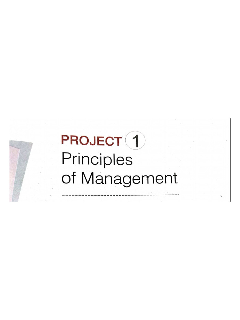 Project Principles of Management Dominos | PDF