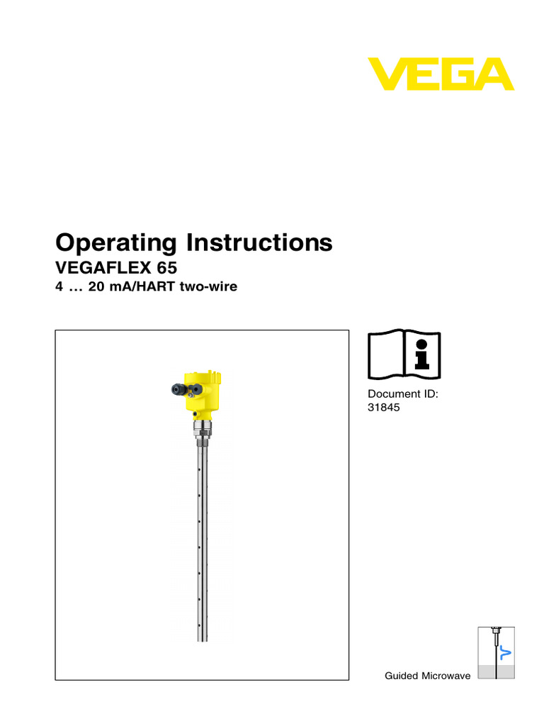 Vegaflex 65 | PDF