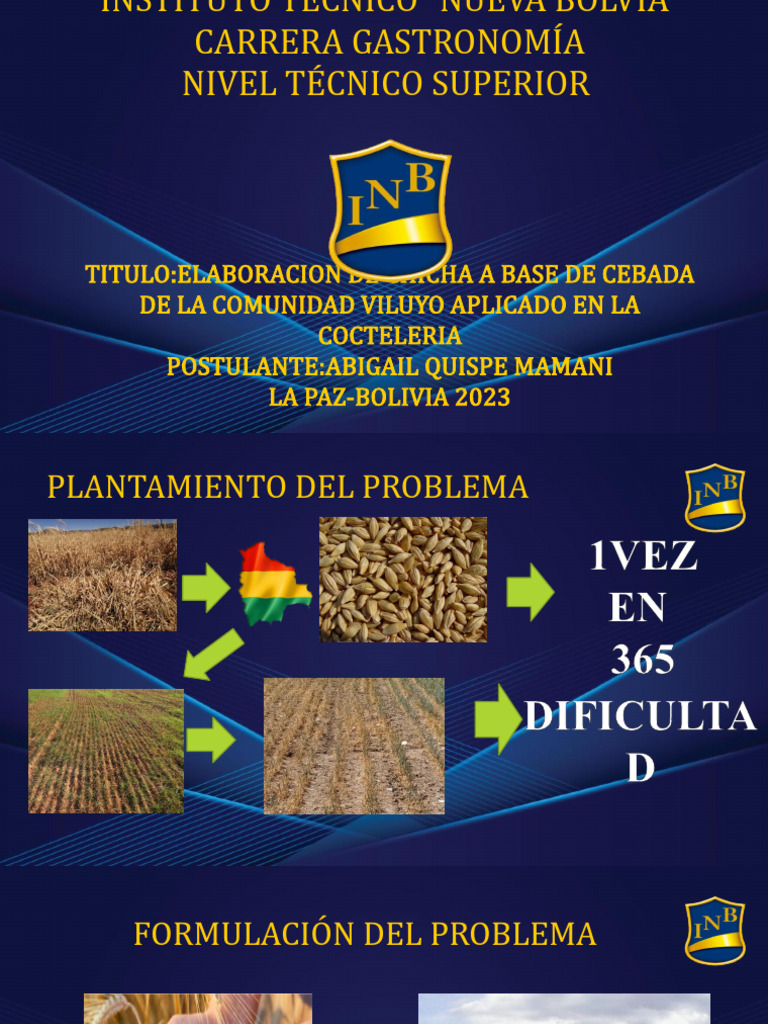 Chicha de Cebada Diapositivas | PDF