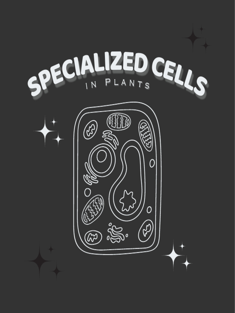Specialized Plant Cell Types | PDF