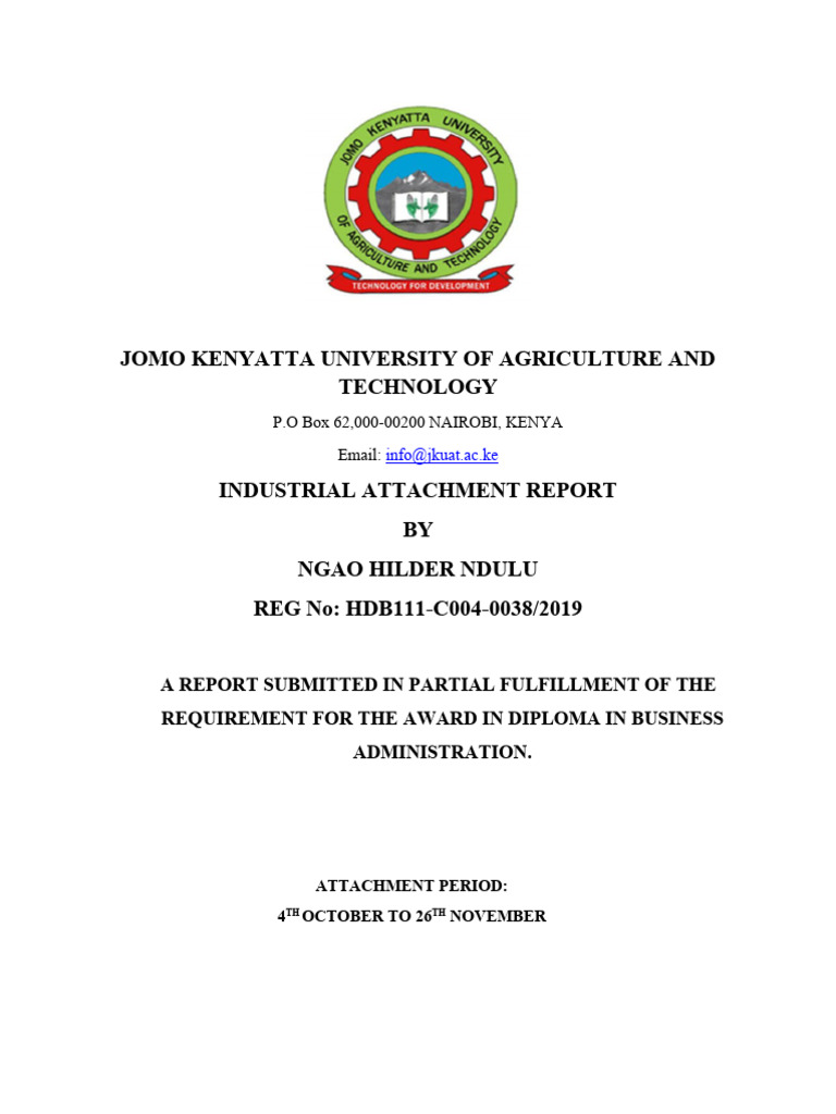 Attachment Project | PDF