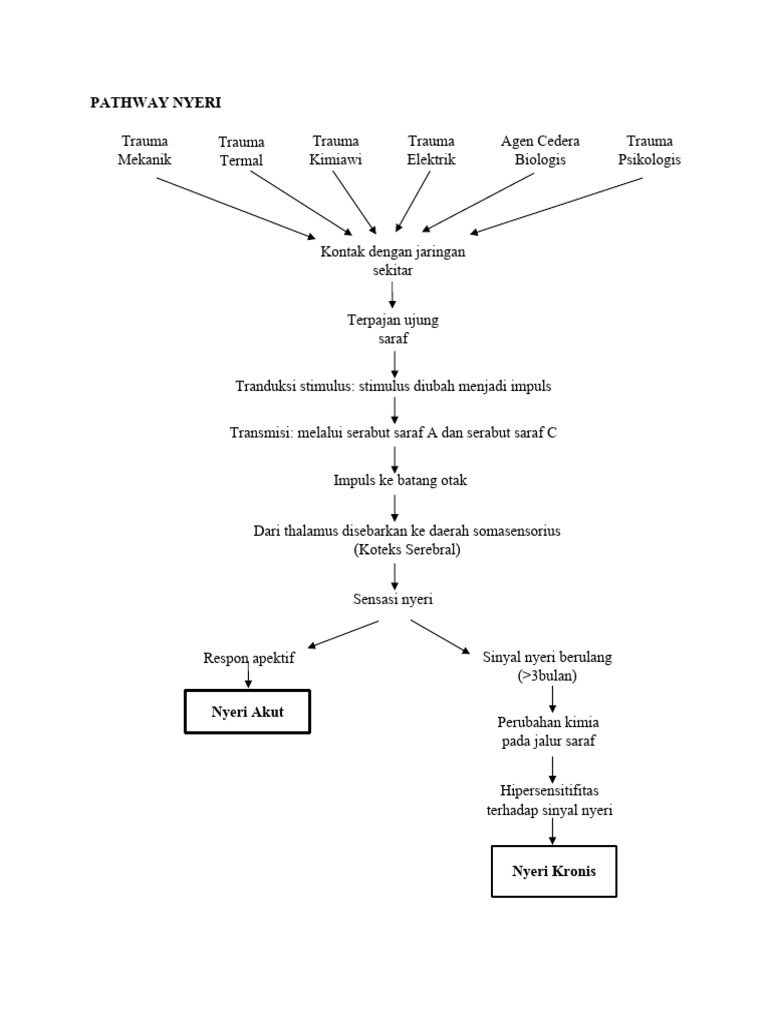 Pathway Nyeri | PDF
