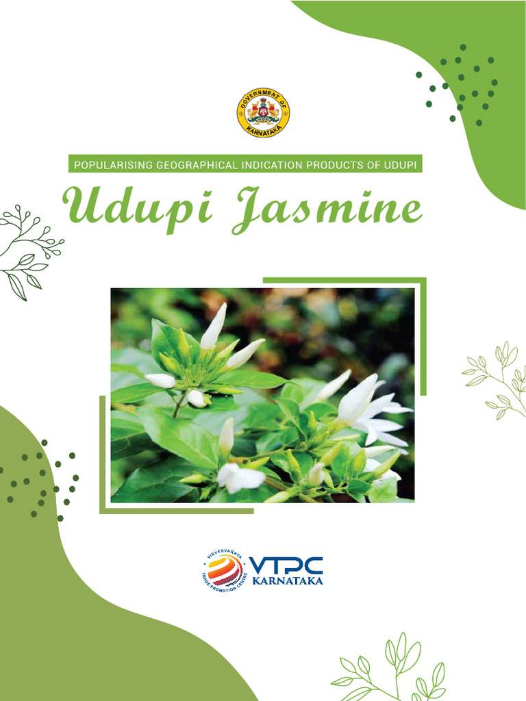 Udupi Jasmine | PDF