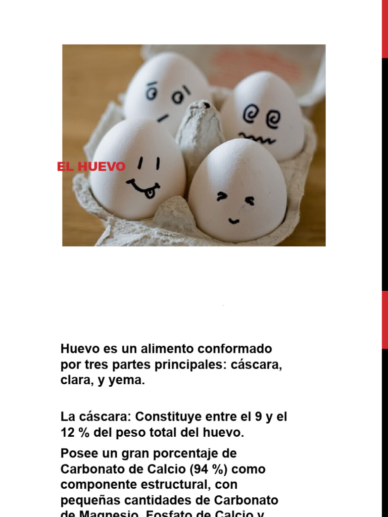 Caracteristicas Huevo | Descargar gratis PDF | Huevo como alimento | Naturaleza