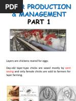 Manual Guide Kienyeji Improved Poultry | PDF | Chicken