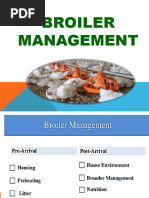 A Beginners Guide To Poultry Layer Farming | PDF | Poultry Farming ...