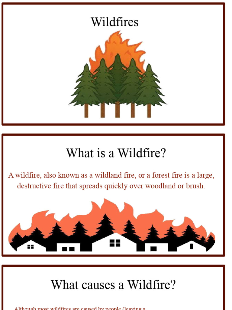 Wildfires | PDF | Wildfire | Fires