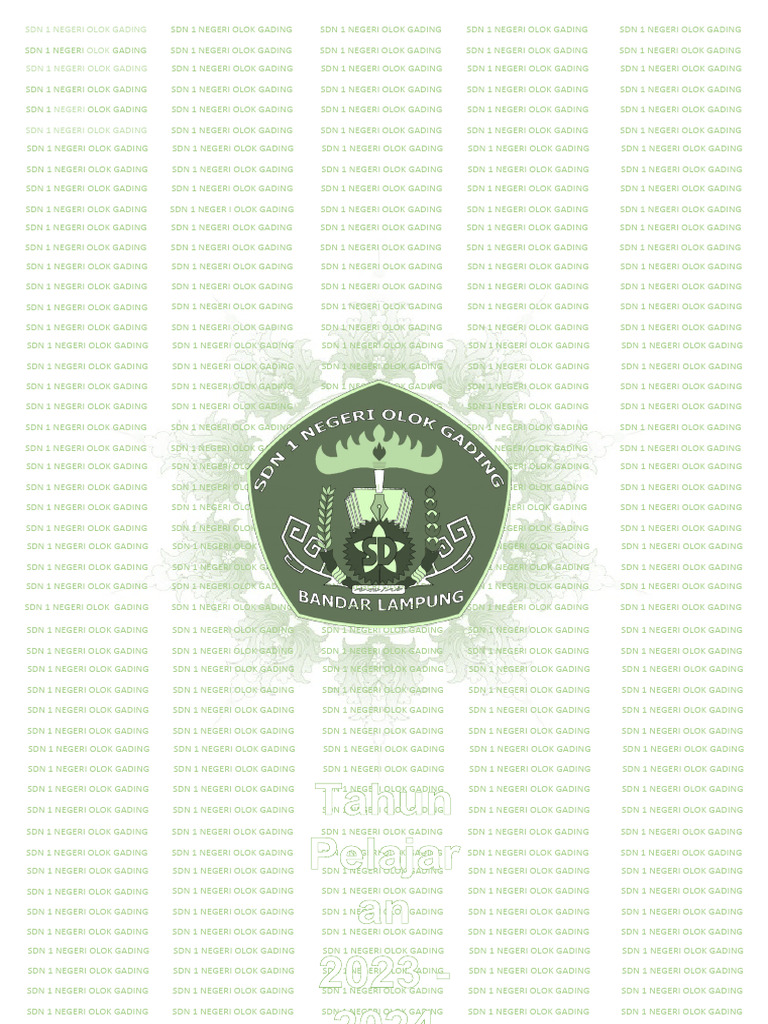 Background Raport 2023 - Salin | PDF