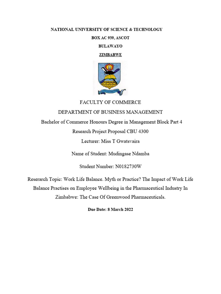 Ndamba Project Proposal | PDF | Methodology | Well Being