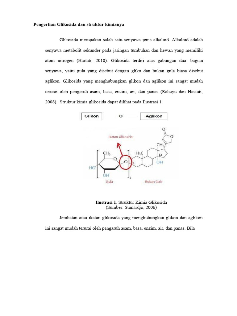 Pengertian Glikosida Dan Struktur Kimianya | PDF