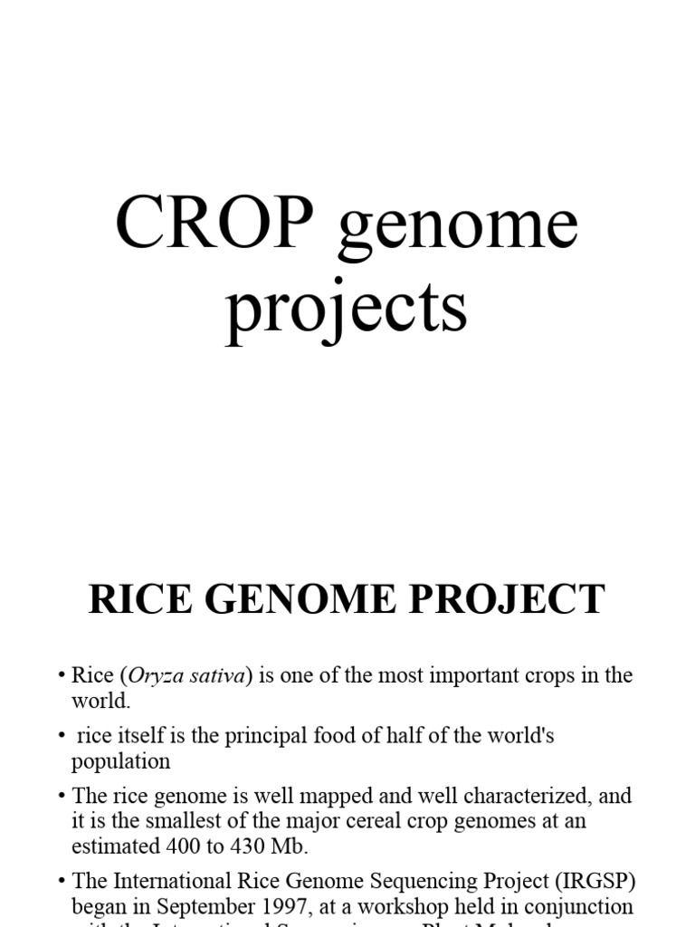 CROP Genome Projects | PDF | Maize | Genome