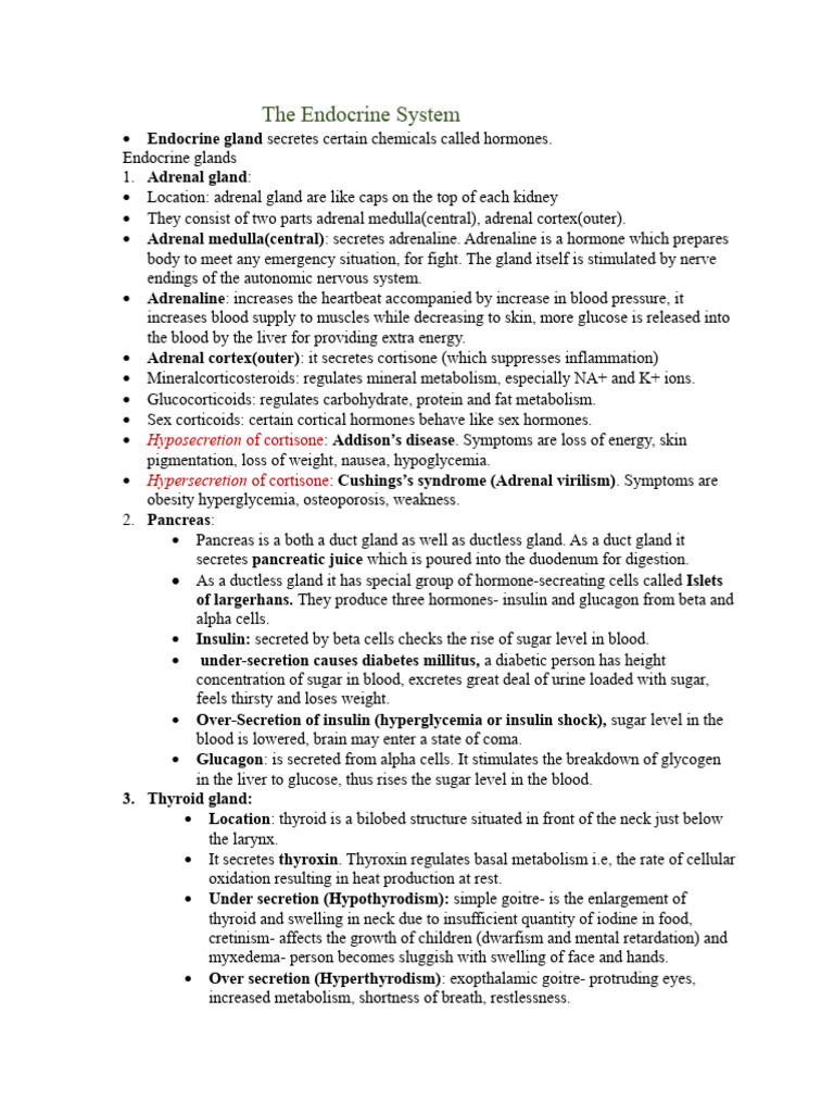 Endocrine System - Class - 10 - Icse. | PDF