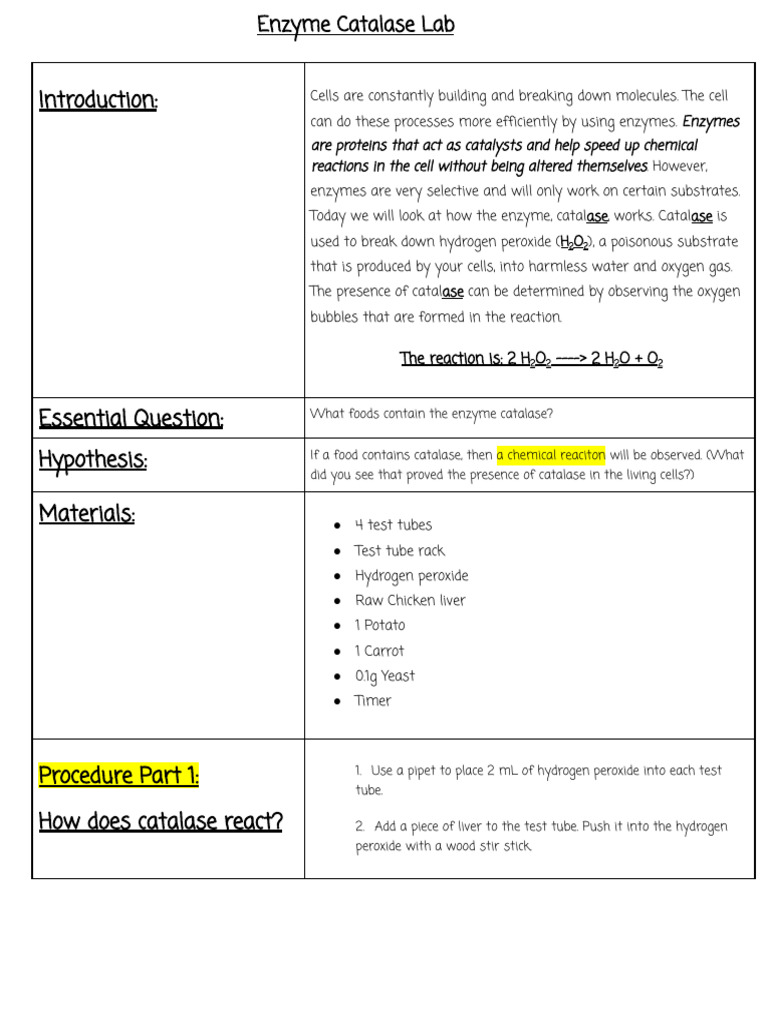 Copy of Enzyme Catalase Lab | PDF