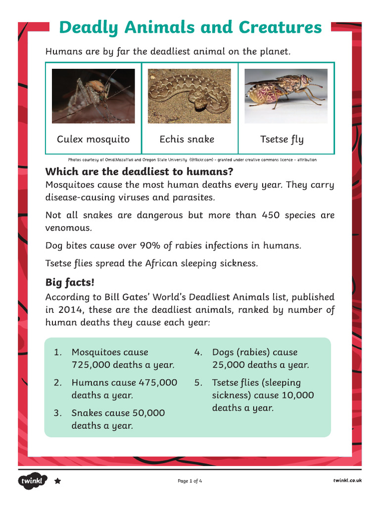 1.deadly Animals Comprehension | PDF