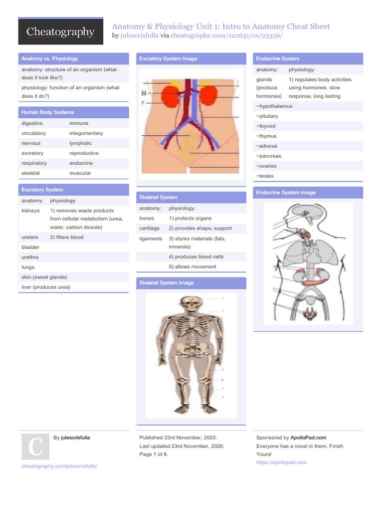 Julescrisfulla Anatomy and Physiology Unit 1 Intro To Anatomy | PDF ...