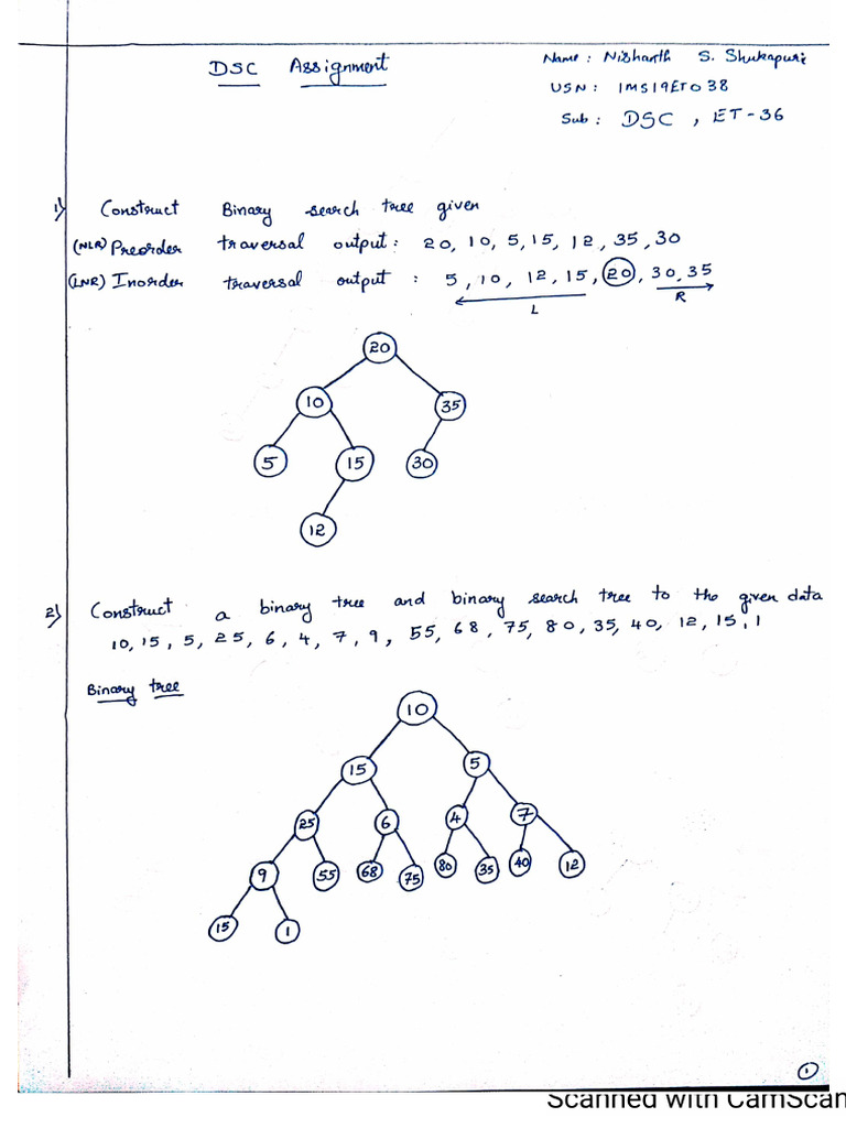 DSC Trees Qts | PDF