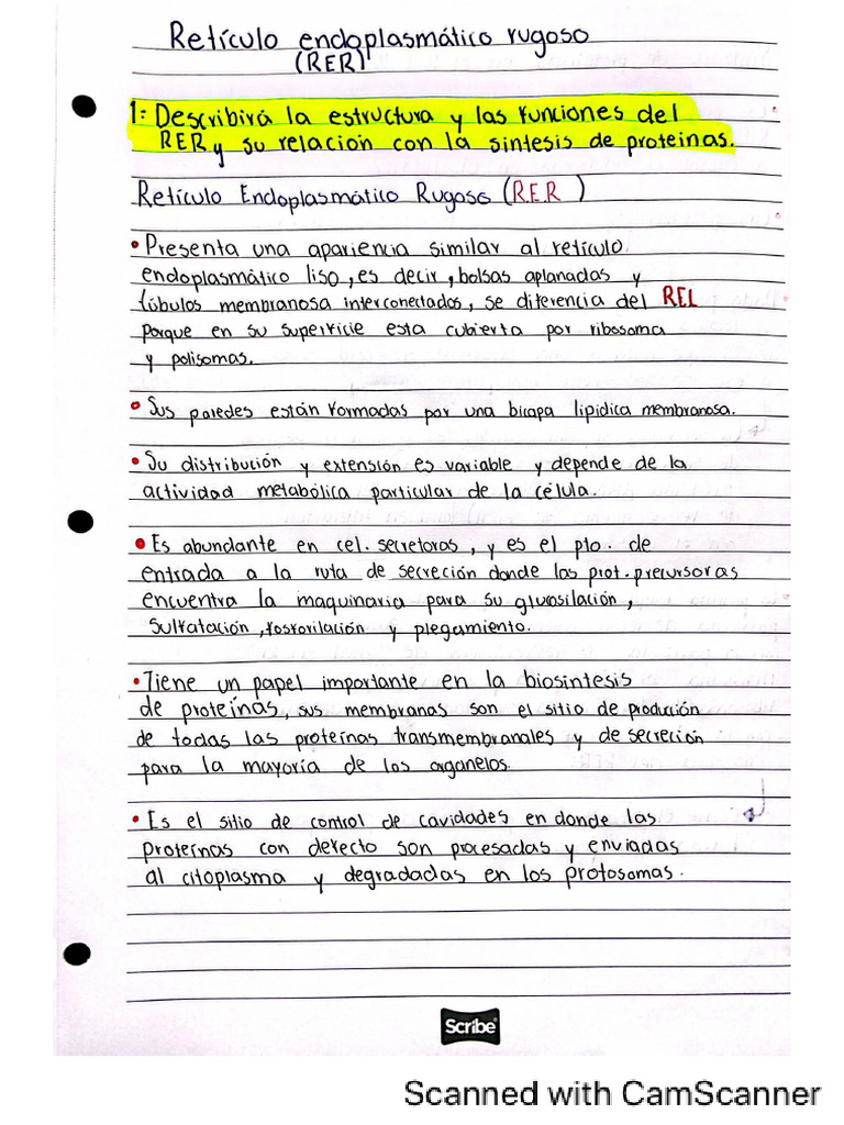 Jorgeeduardo - Fernandez Evidencia RER | PDF