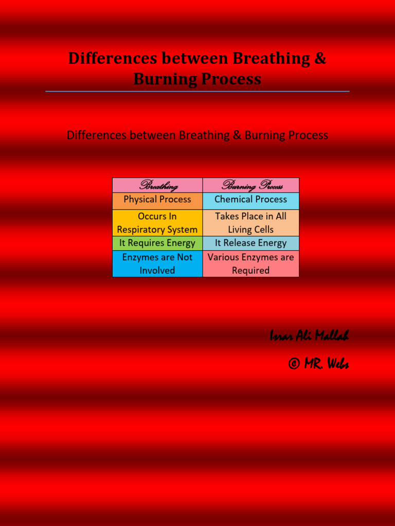 Lec.4 Difference Between Breathing & Burning Process | PDF
