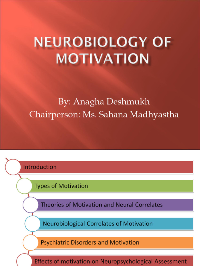 Neurobiology of Motivation | PDF | Reward System | Striatum