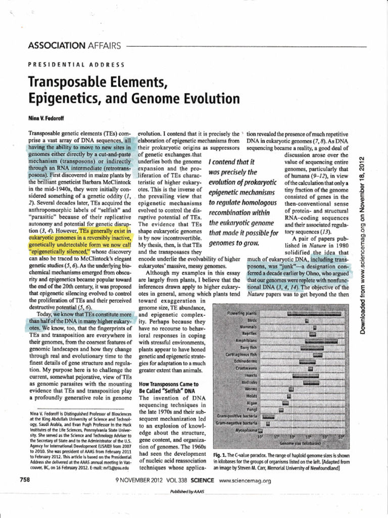 Transposable Elements, Epigenetics | PDF | Transposable Element | Genome