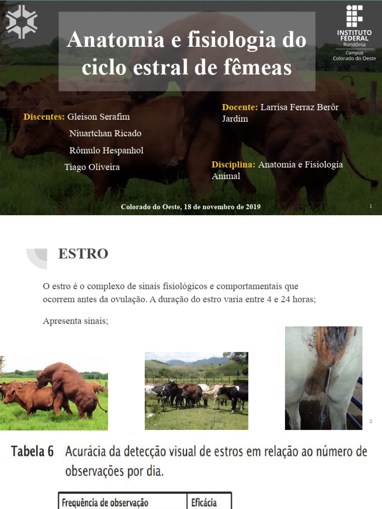 Anatomia e Fisiologia Do Cilco Estral de Éguas e Vacas (Salvo ...