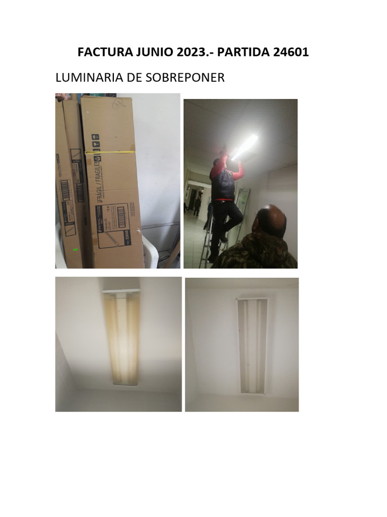 Factura Junio 2023 - Partida 24601 | PDF