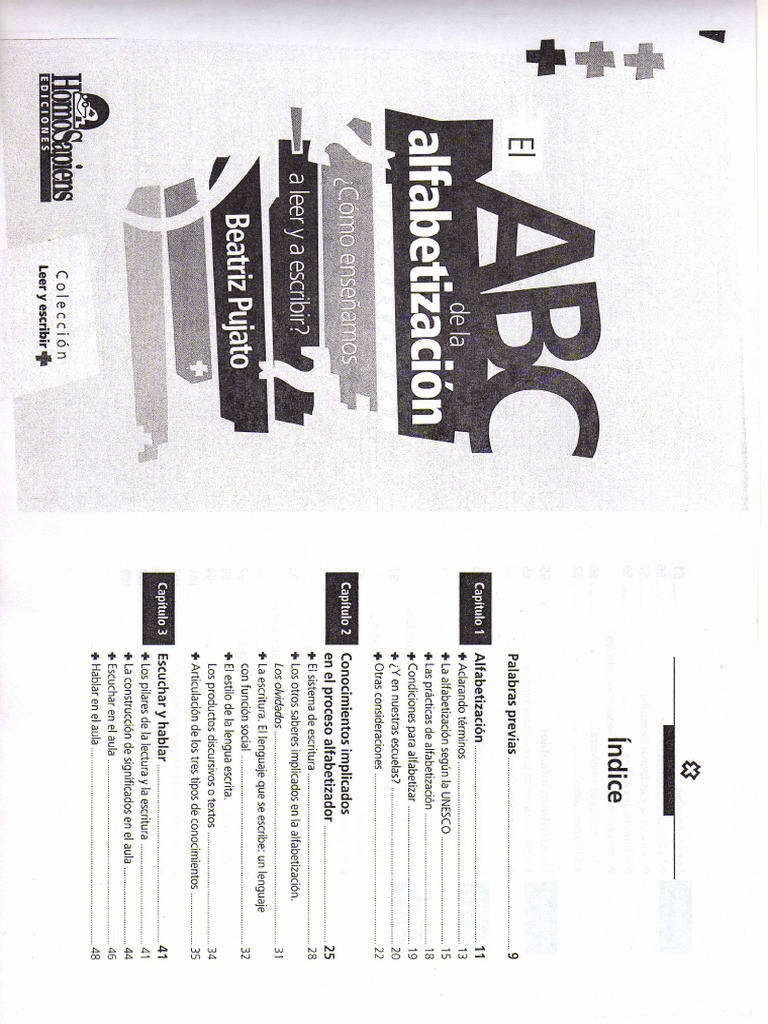 El ABC de La Alfabetización Cap 1 | PDF