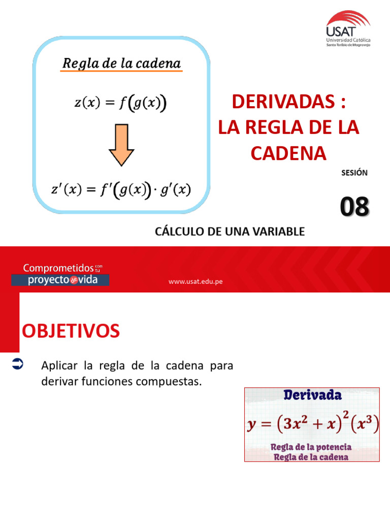 Sesión 08A - PPT Regla de La Cadena | PDF