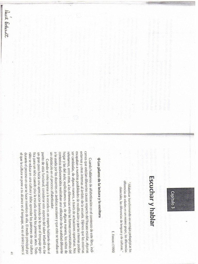 El Abc De La Alfabetización Cap 3 Pdf