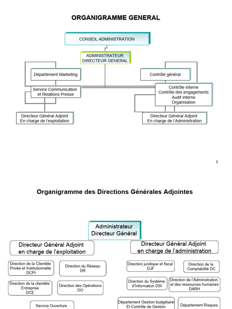 CBAO | PDF | Gestion informatique | Économie d'entreprise