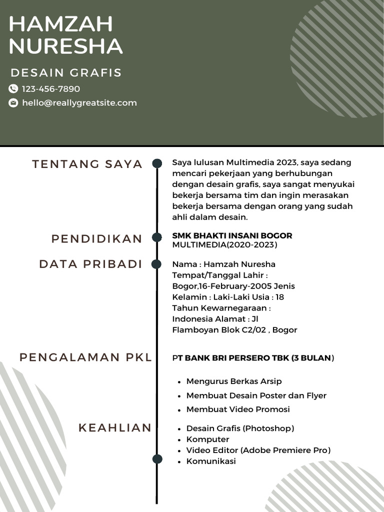 Hamzah Nuresha CV NEW | PDF