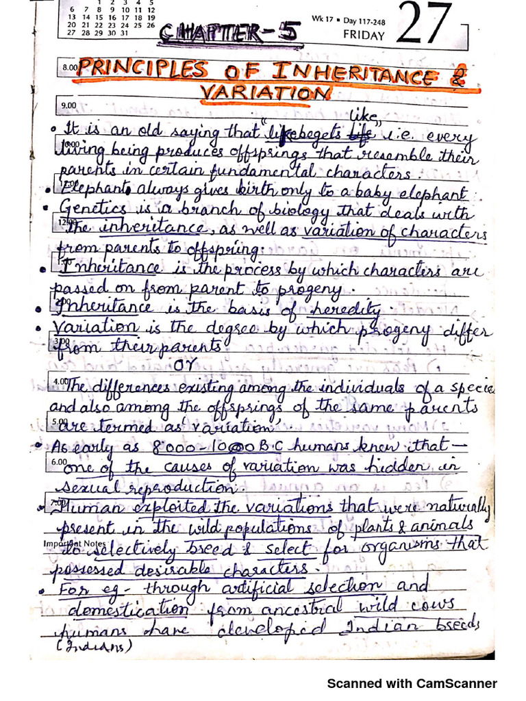 Chap5 20190213132251 | PDF