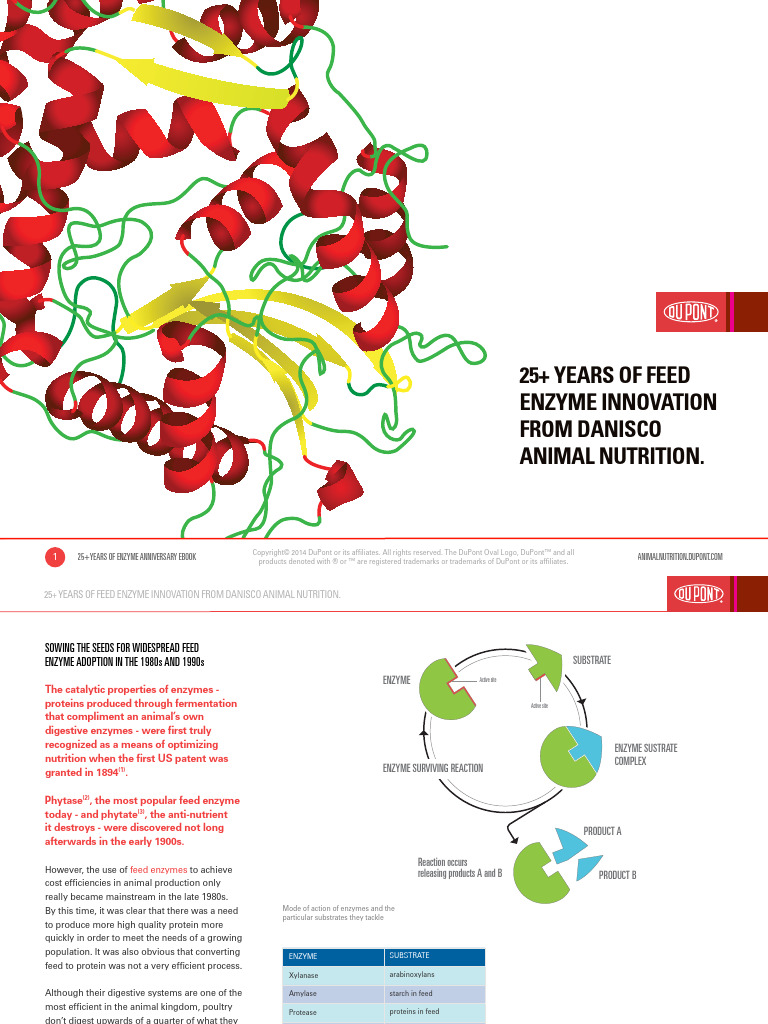 Dupont Danisco 25 Years of Feed Enzyme Innovation Ebook | PDF ...
