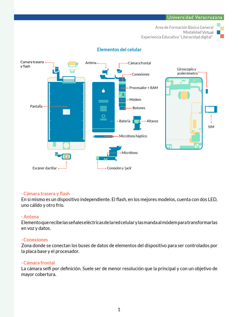 Act02 m1 Elementos Del Celular | PDF