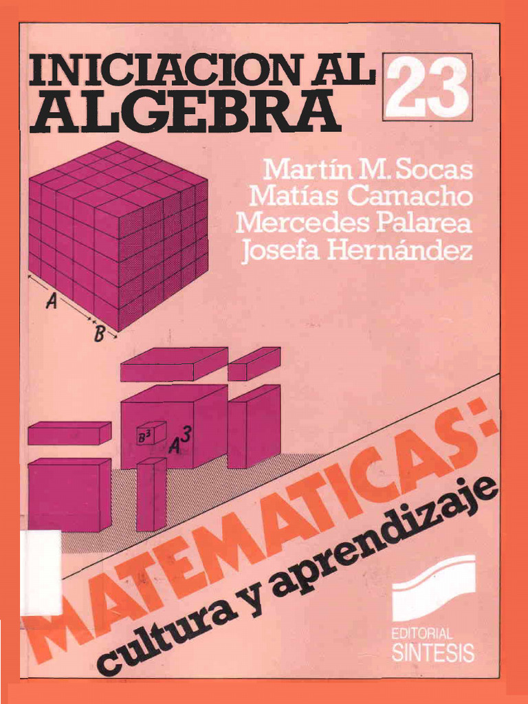 Iniciación Al Álgebra - Martín Manuel Socas Robayna (FreeLibros) | PDF