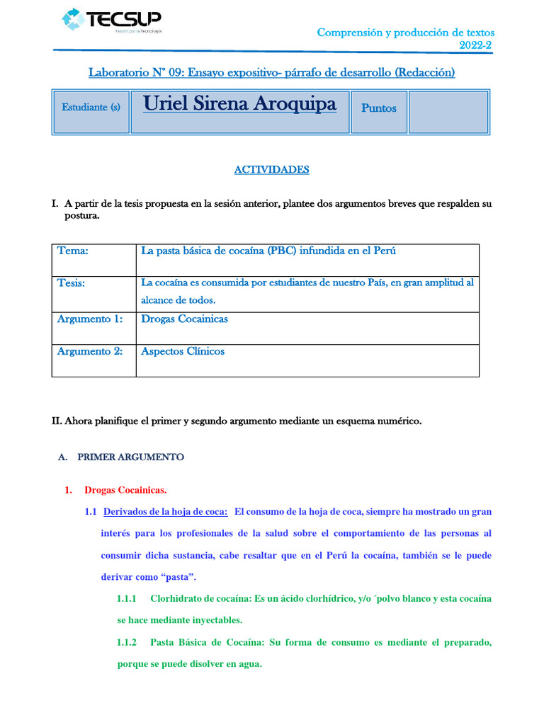 L9 - ENSAYO EXPOSITIVO - Párrafo de Desarrollo (Redacción) | PDF ... L9 - ENSAYO EXPOSITIVO - Párrafo de Desarrollo (Redacción) | PDF ...