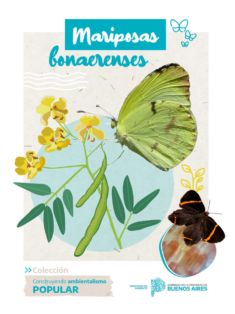 Mariposas en La Ciudad Buenos Aires | PDF | Ciencia y matemáticas