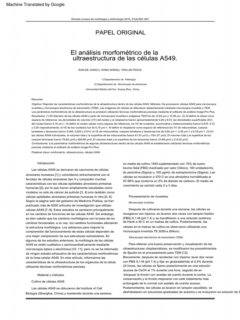Morfometría de Ultraestructura en Células A549 | PDF | Citoplasma | Biología Celular)