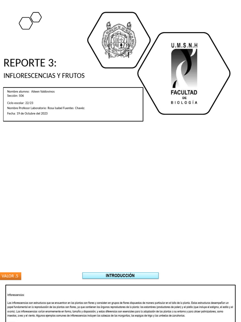 FORMATO REPORTE-PRACTICA 3 - INFLORESCENCIAS Y FRUTOS - 21 Sep 2023 | PDF | Tallo de la planta ...