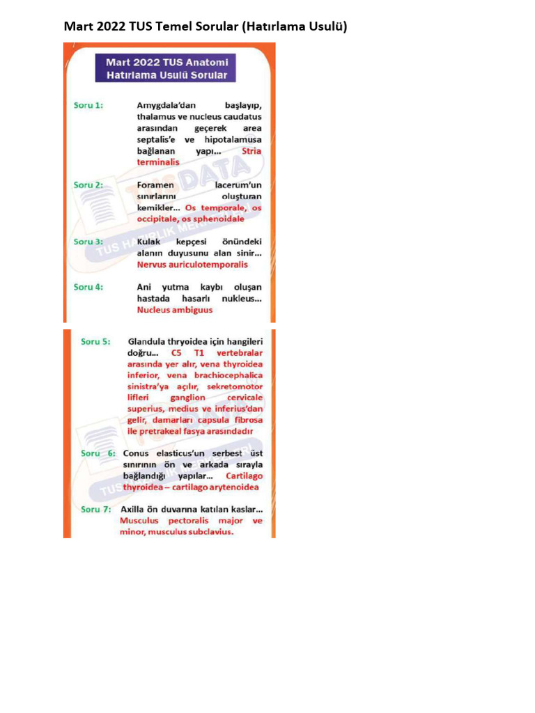 Mart 2022 TUS Temel Sorular-Full (Hatırlama Usulü) | PDF