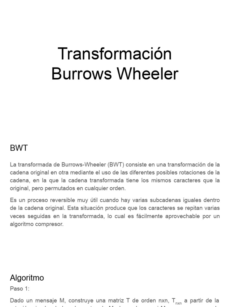 Burrows Wheeler Transform | Descargar gratis PDF | Matriz (Matemáticas) | Matemáticas