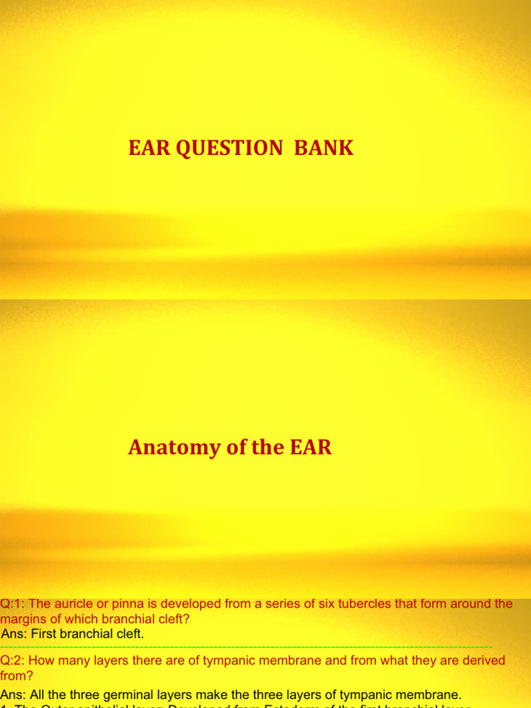 Ear Question Bank | PDF | Ear | Common Carotid Artery