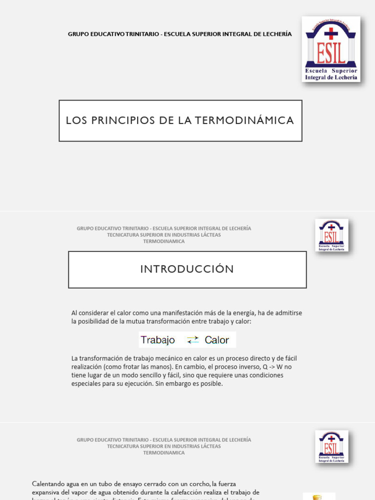 Los Principios de La Termodinamica | PDF | Termodinámica | Calor