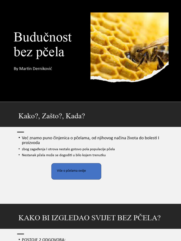 Svijet Bez Pcela | PDF