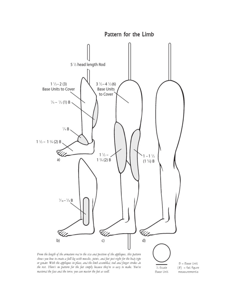 Pattern For The Limb | PDF