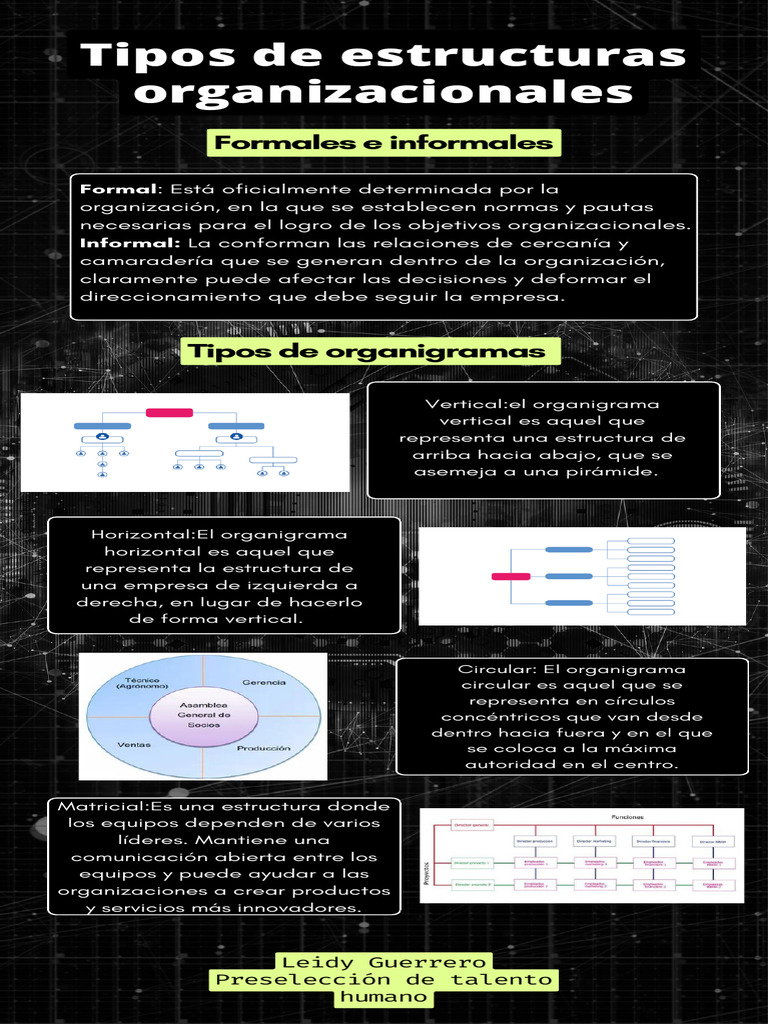 Tipos de Estructuras Organizacionales | PDF